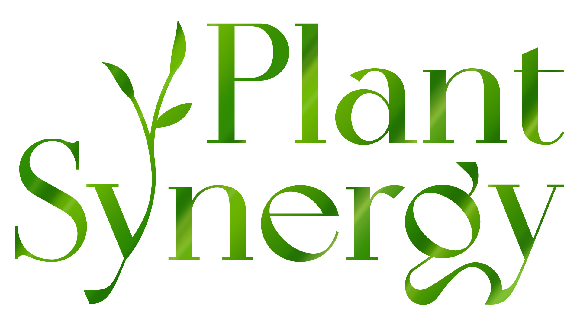 GET IN TOUCH– PlantSynergy